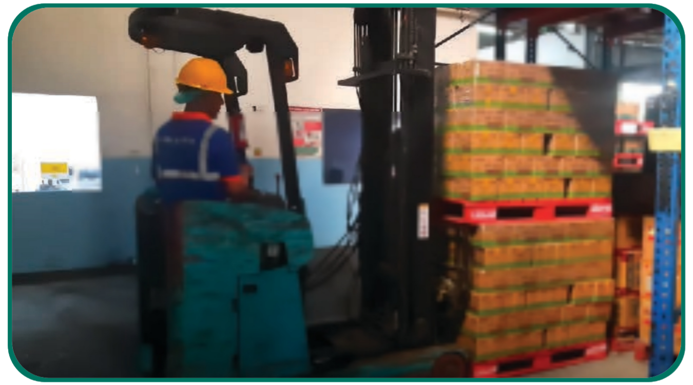 PT Resik Bumi Perkasa – Co – Packing Manufacturer