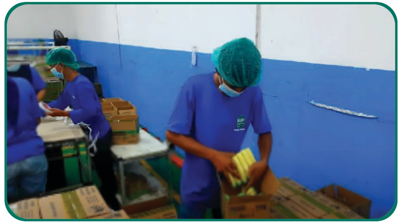 PT Resik Bumi Perkasa – Co – Packing Manufacturer