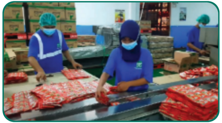 Gallery – PT Resik Bumi Perkasa