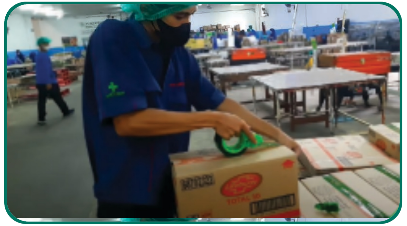 Gallery – PT Resik Bumi Perkasa